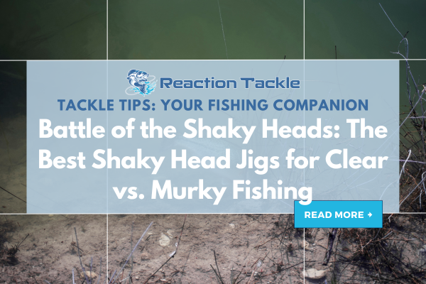 Battle of the Shaky Heads: The Best Shaky Head Jigs for Clear vs. Murky ...