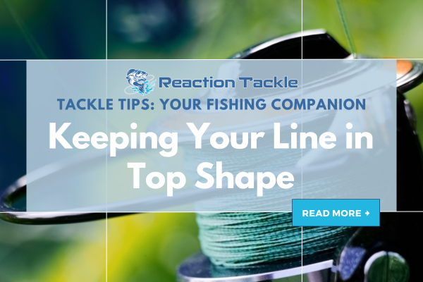 Maintenance Tips for Braided Fishing Line: Keeping Your Line in Top ...